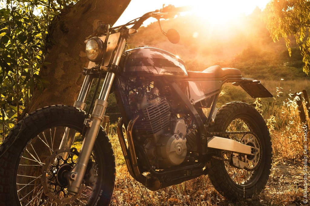 Honda Dominator Scrambler by Mauromotori - BikeBrewers.com